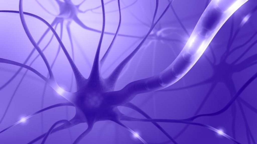 Autoimmune Diseases - Genetic Lifehacks
