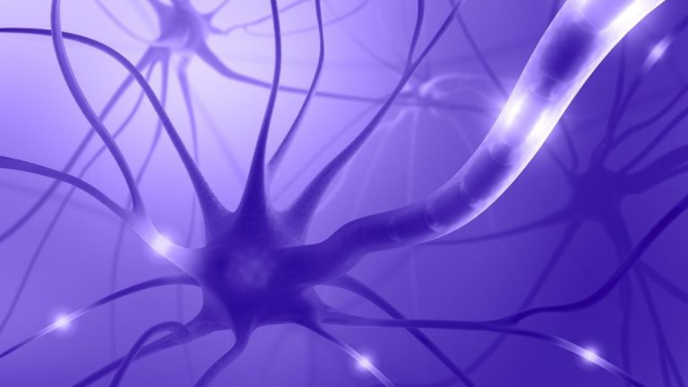 Guillaine Barre Syndrome: Genetic Risk Factors