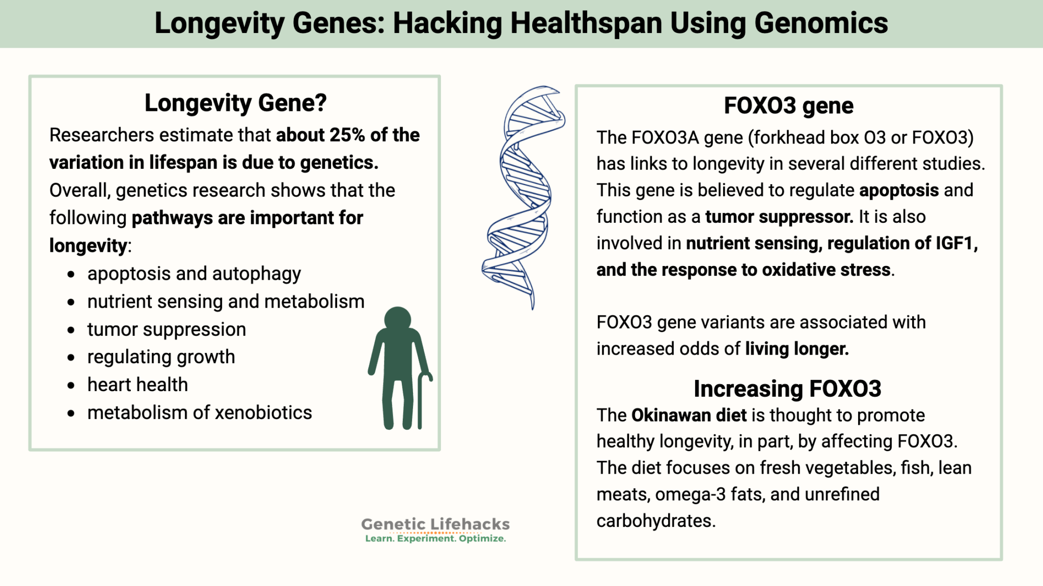Longevity Genes: Hacking healthspan using genomics | Genetic Lifehacks