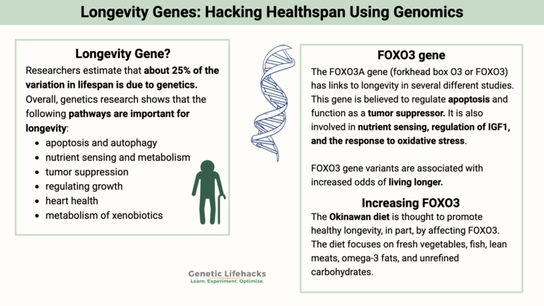 Longevity Genes: Hacking healthspan using genomics | Genetic Lifehacks