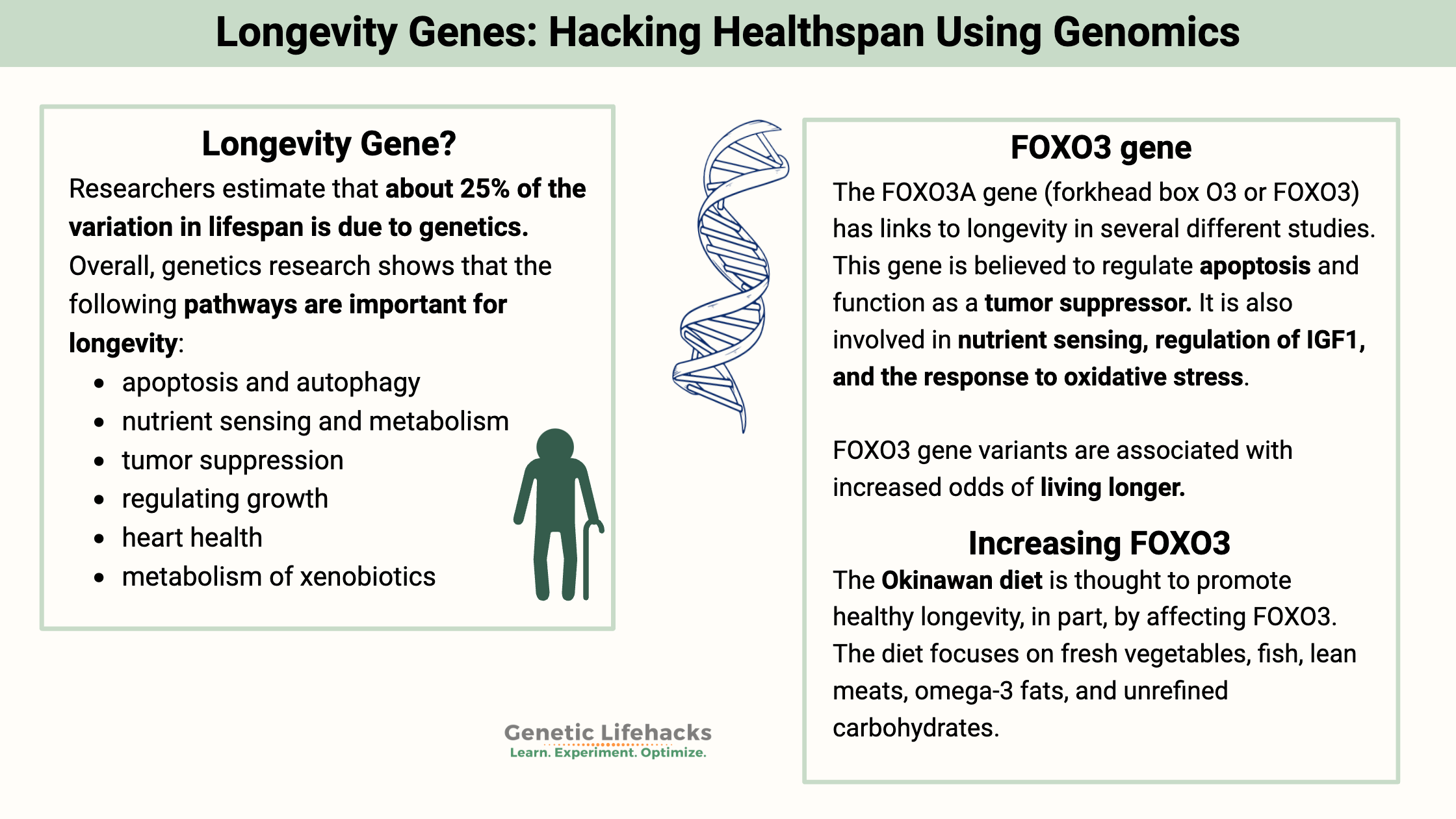 Longevity Genes: Hacking healthspan using genomics | Genetic Lifehacks