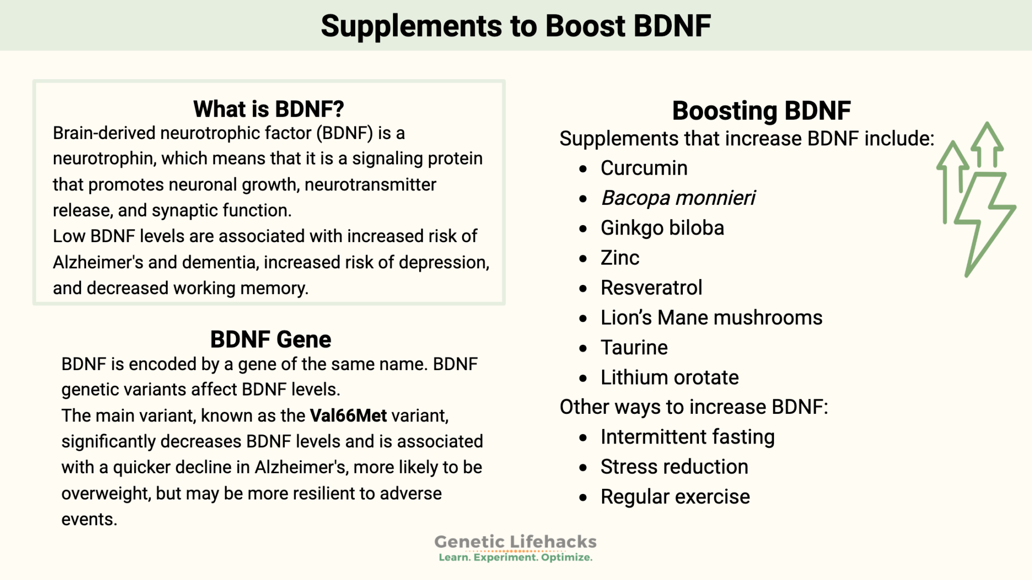 Best Supplements to Boost BDNF