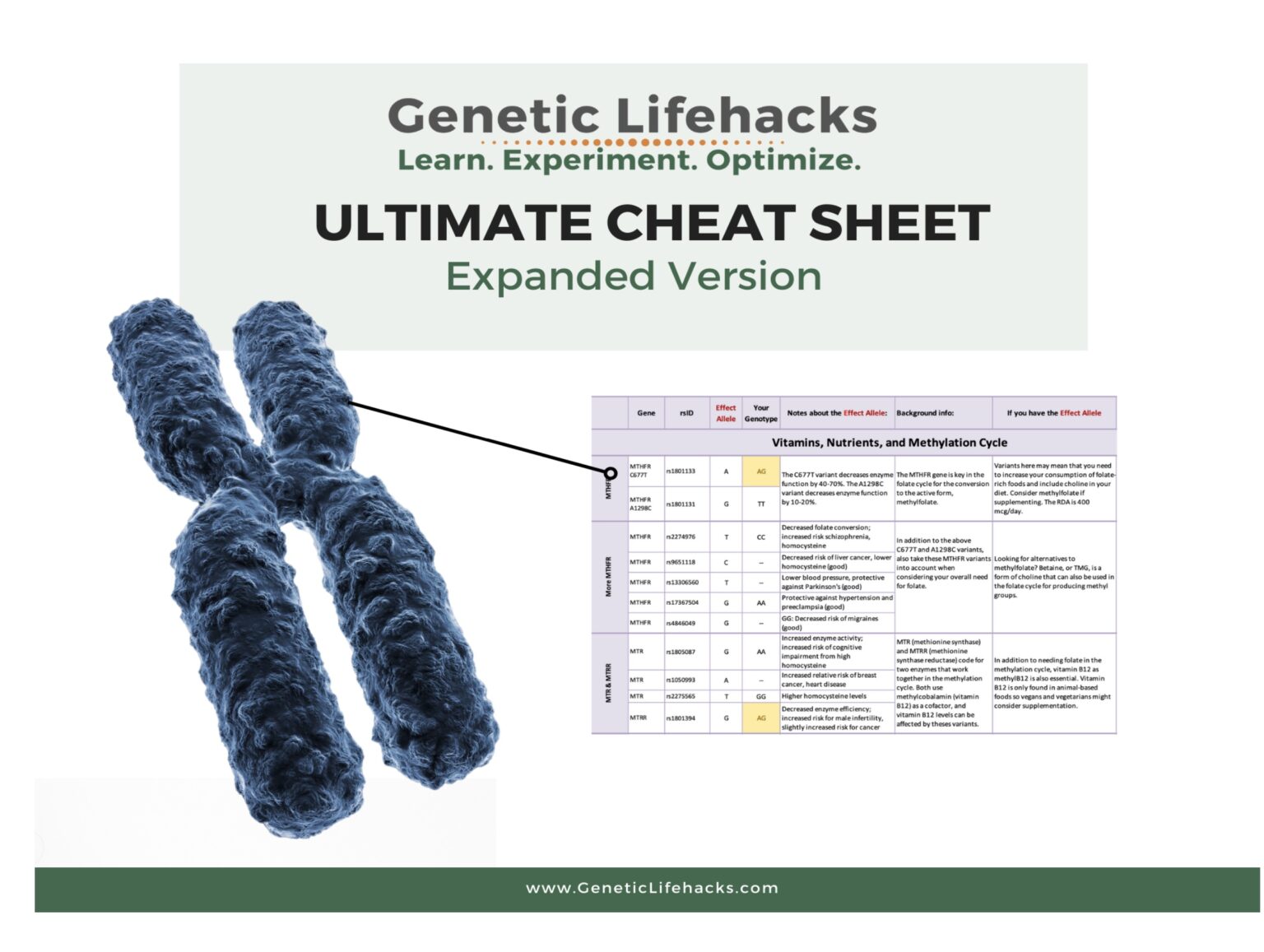 Genetic Lifehacks Expanded Cheat Sheet plus Annual Membership Coupon ...