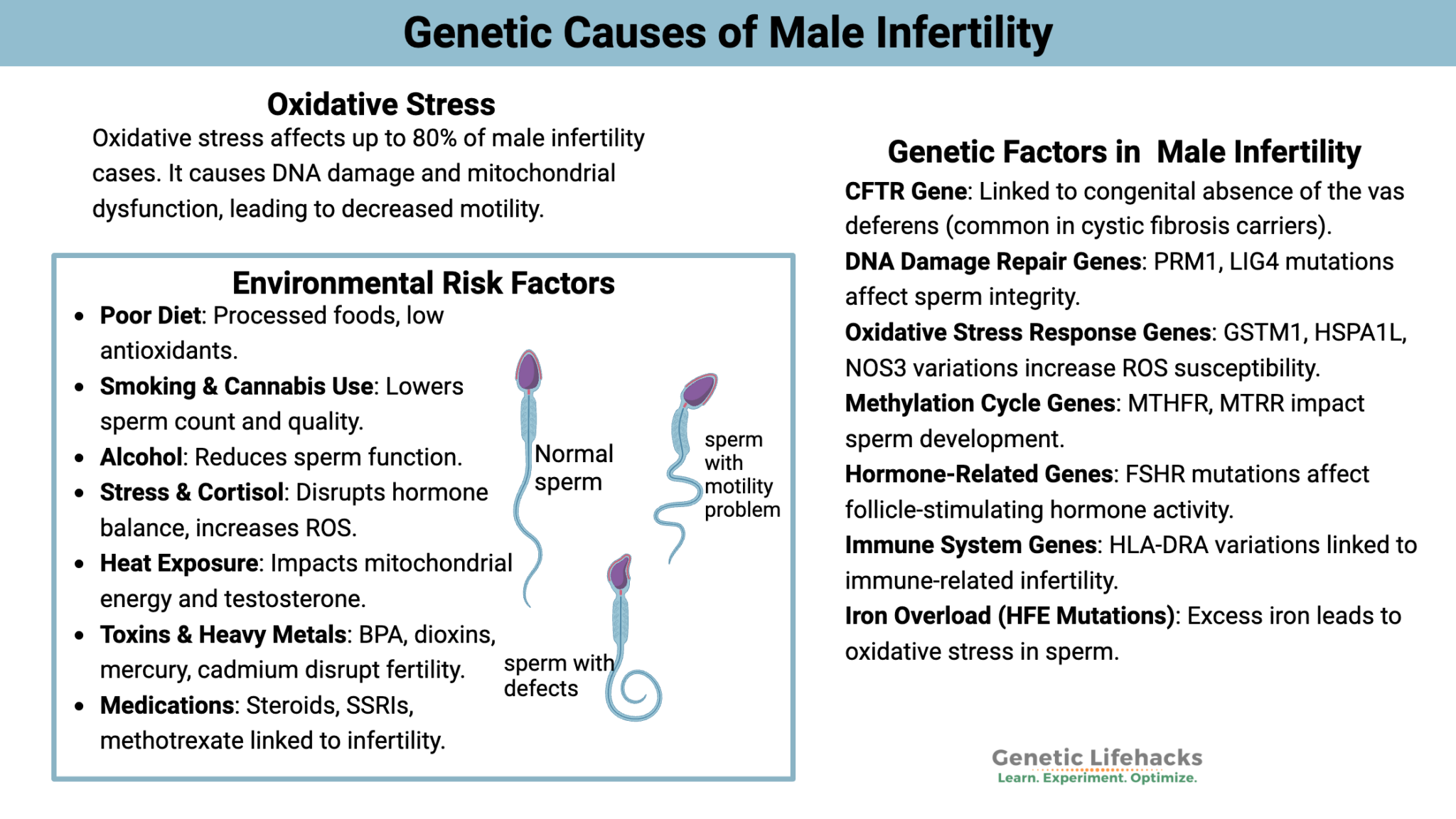 Genetic Lifehacks: Understand your genes.