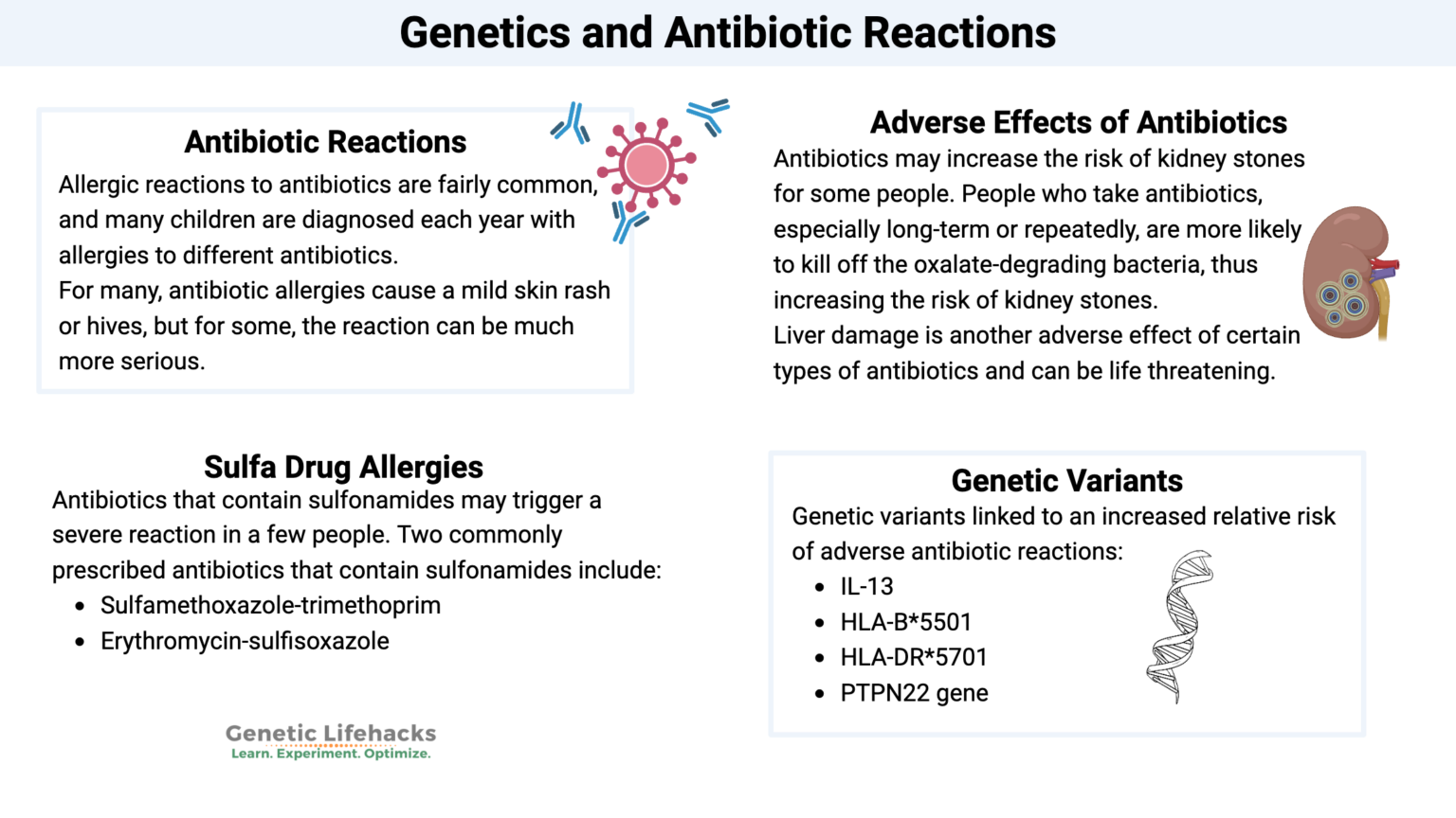 Antibiotics: Genetics and Antibiotic Reactions