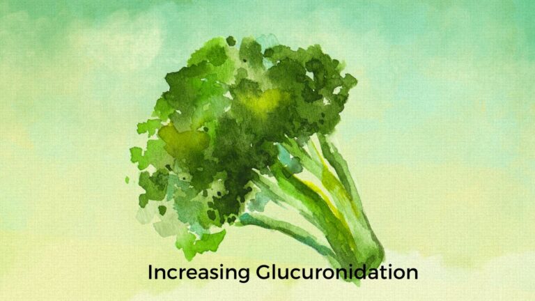 UGTs: Glucuronidation genes