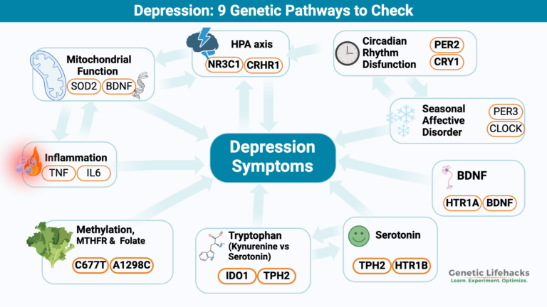Underlying Cause(s) of Depression: Leveraging Your Genetic Data