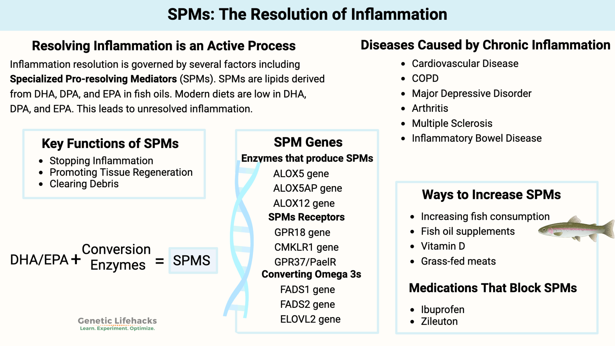 Inflammation and Immune Response