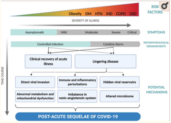 Long Covid: Genetics, Multiple Causes, and Possible Solutions