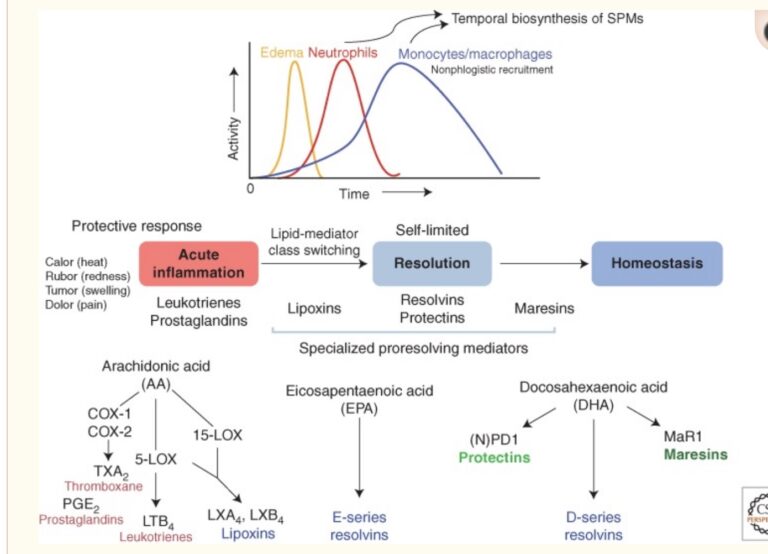 Specialized Pro-resolving Mediators (SPMs): The Resolution of Inflammation