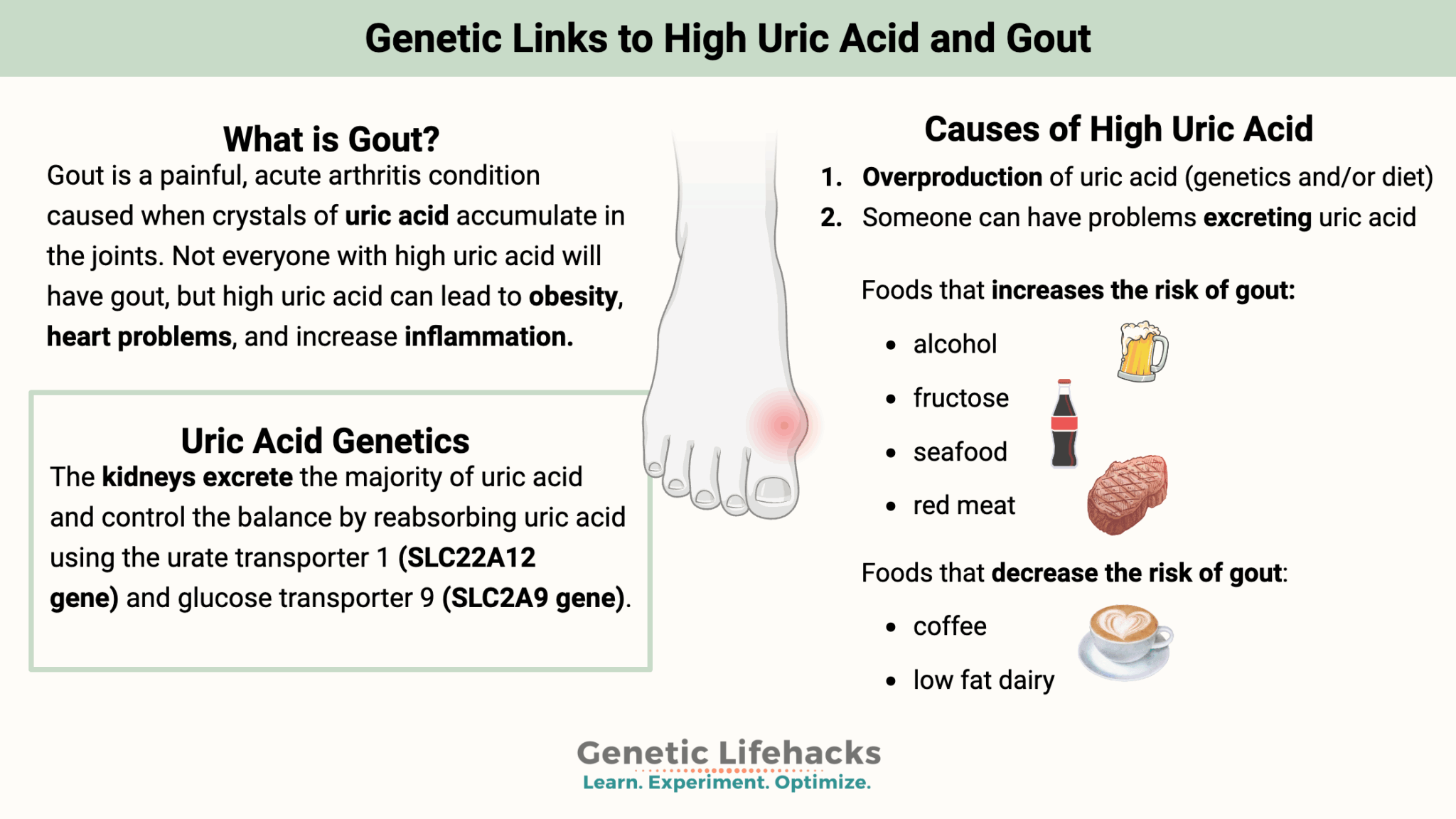 Genetic Links to High Uric Acid and Gout - Genetic Lifehacks Genetic ...