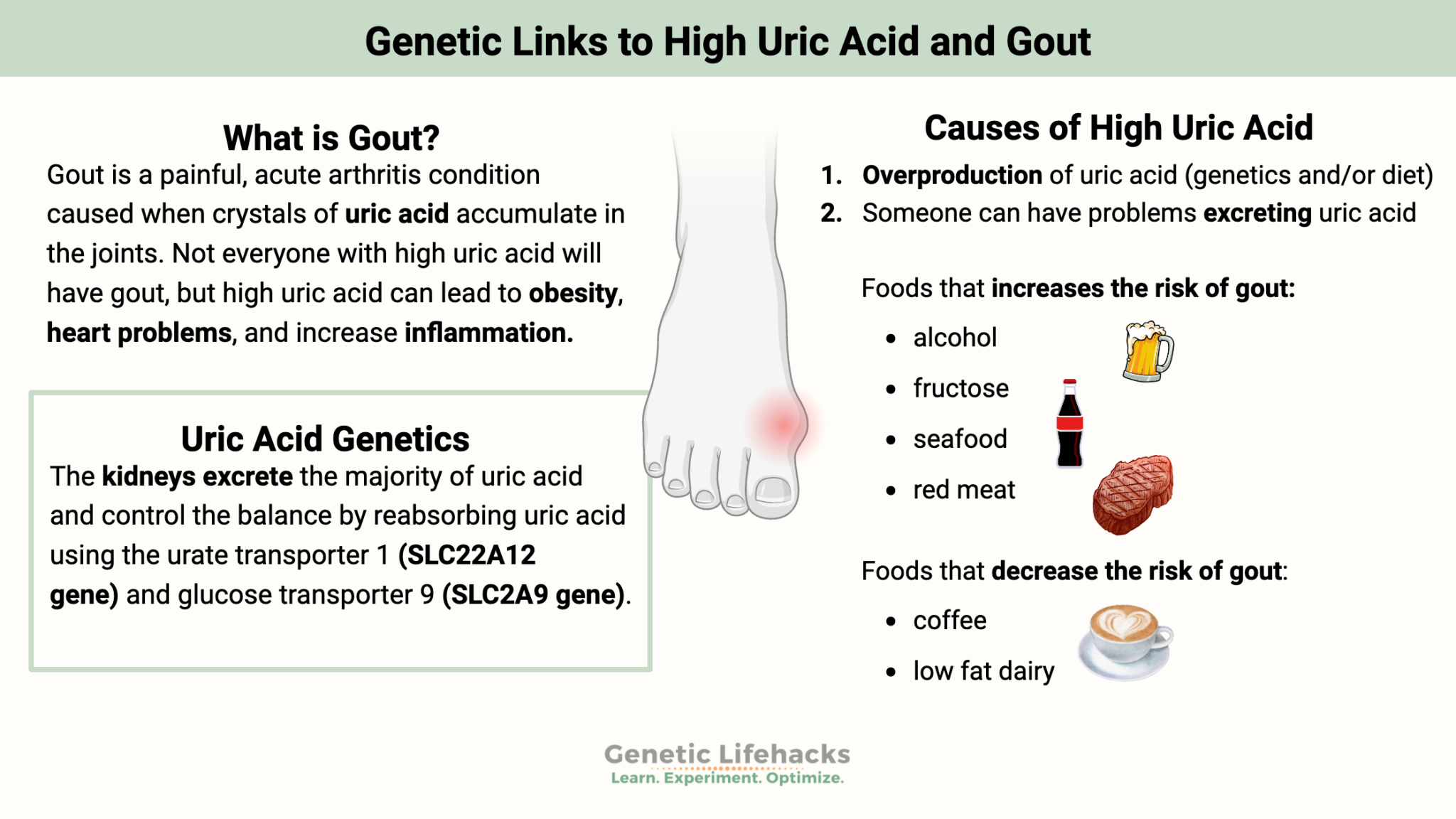 Genetic Links to High Uric Acid and Gout - Genetic Lifehacks Genetic ...