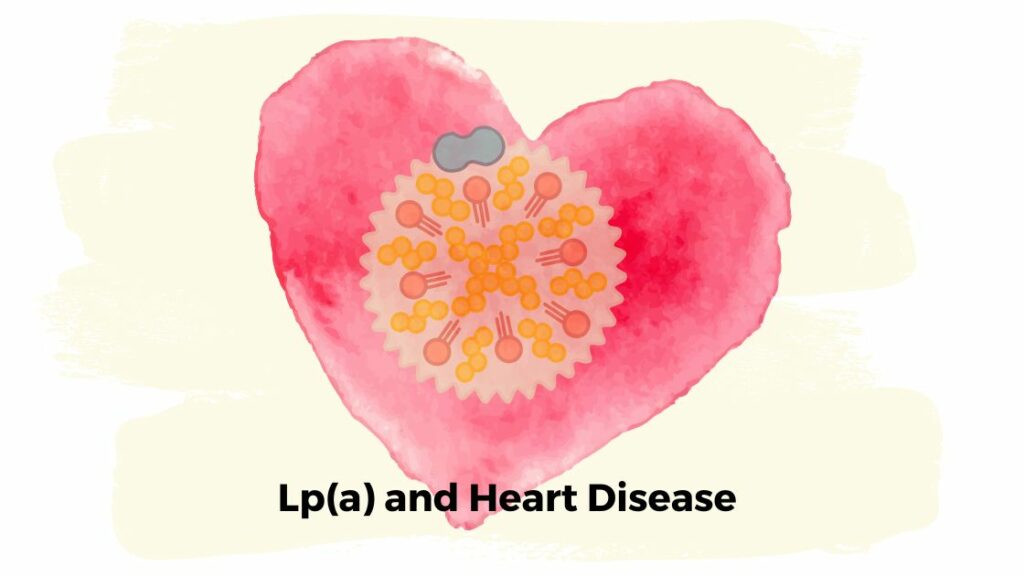 Lipoprotein a: Genes and Lp(a)