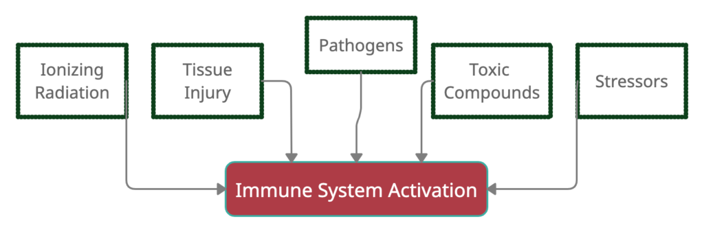 Chronic Inflammation: Causes and Natural Solutions