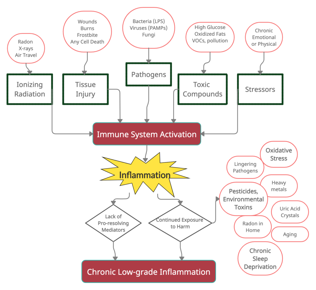 Chronic Inflammation: Causes and Natural Solutions