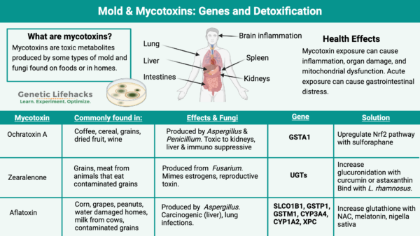 Mold Genes: How mold and mycotoxins interact with genetics