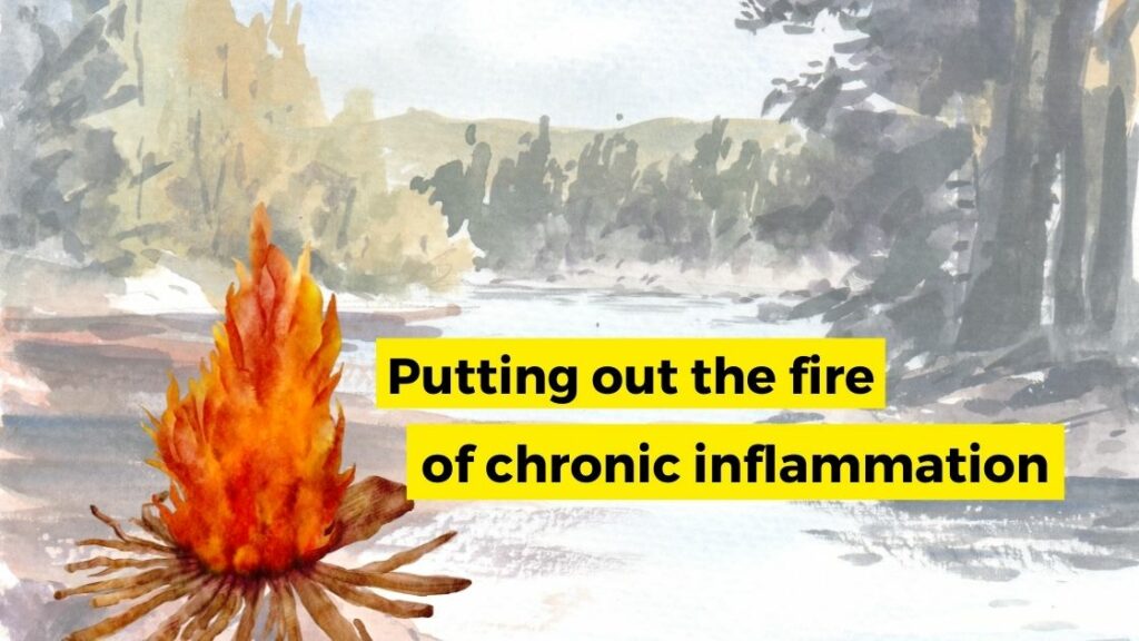 Inflammation and Immune Response