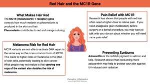 Red Hair and the MC1R Gene - Genetic Lifehacks