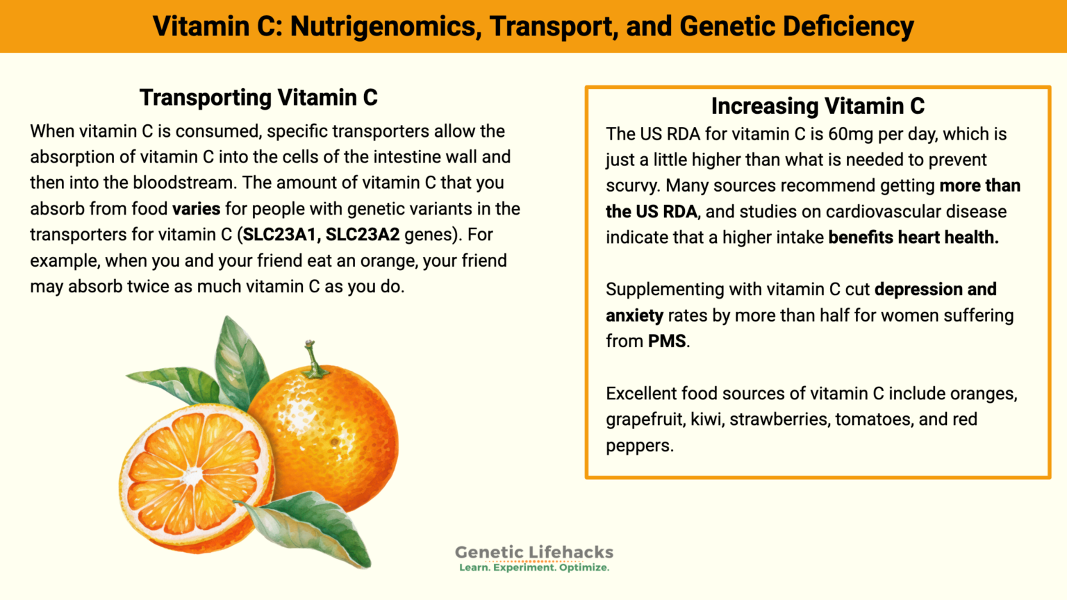Vitamin C: Nutrigenomics, Transport, and Genetic Deficiency