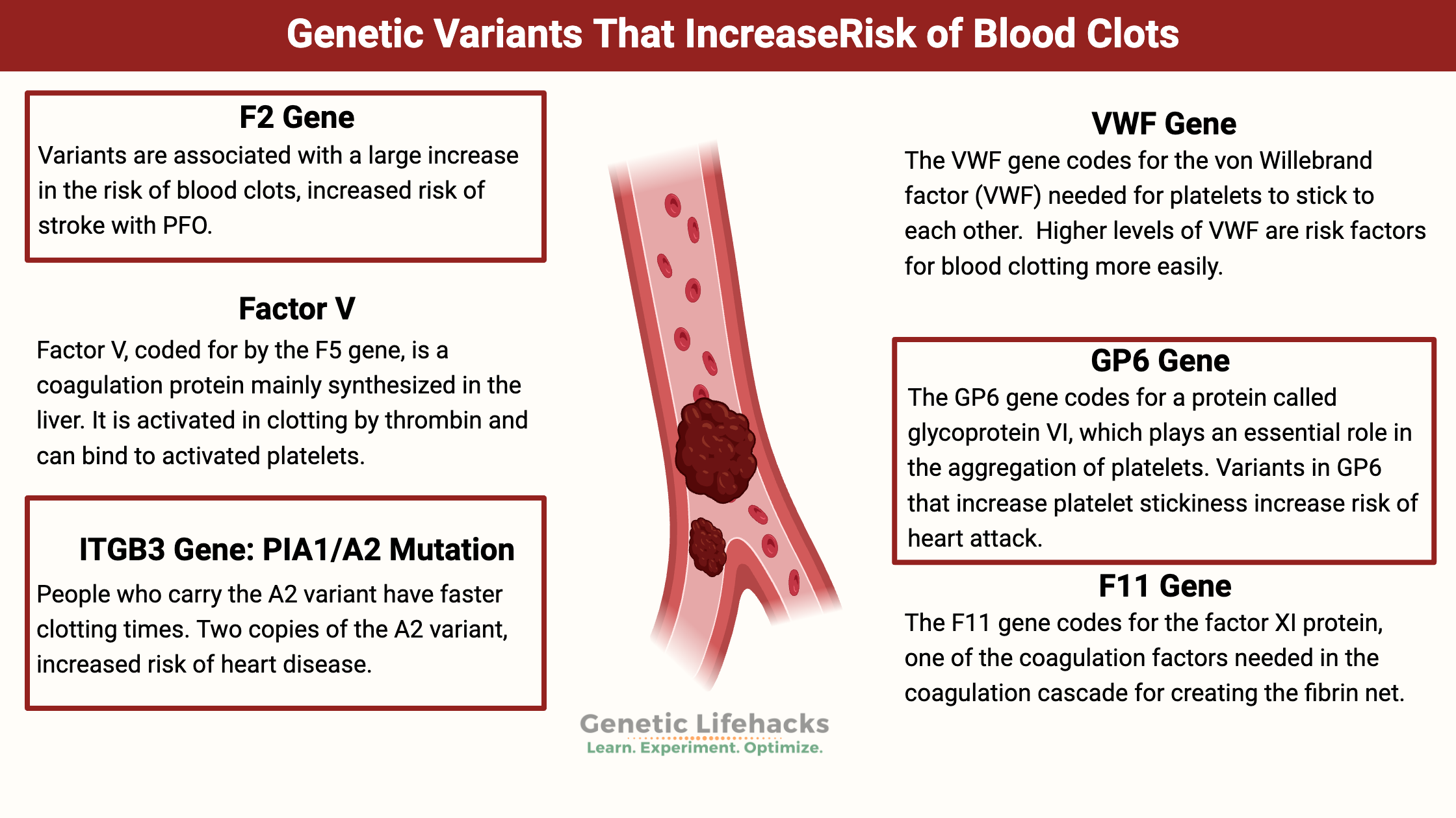 Clotting Blood Clotting Blood