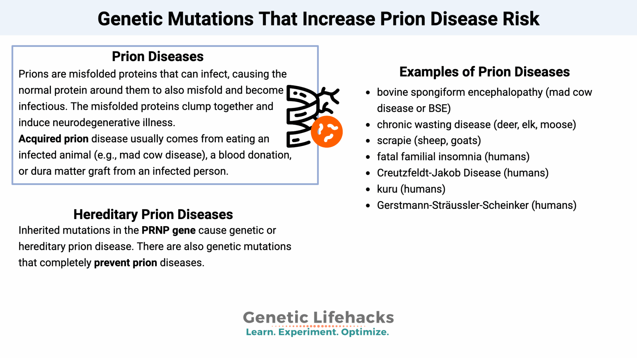 Prions: Genetic Mutations that Increase Prion Disease Risk - Genetic ...