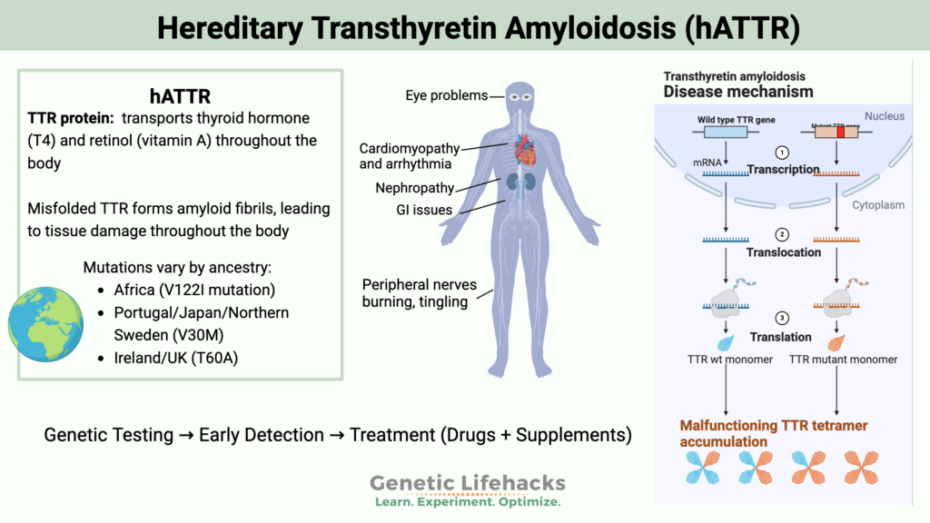 Genetic Diseases and Disease Prevention