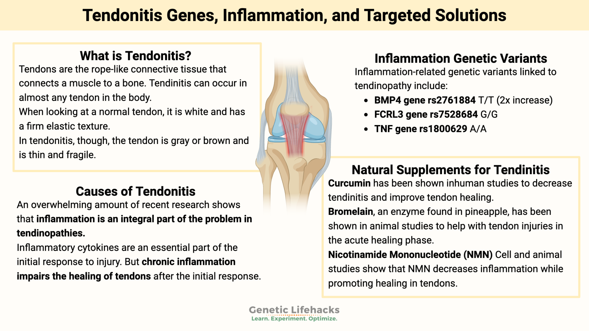 Inflammation and Immune Response