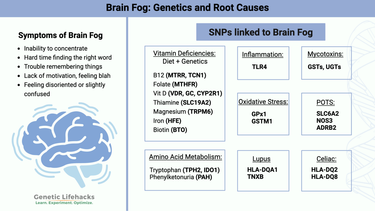 Brain Fog: Causes, genetics, and individualized solutions
