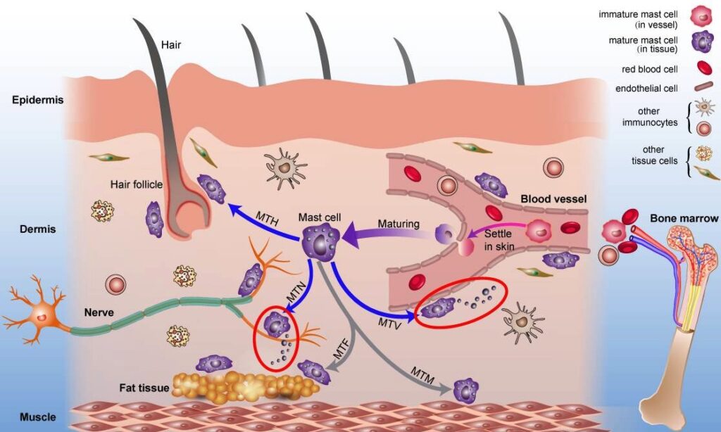 Acupuncture and Genomics: Who is more likely to respond?