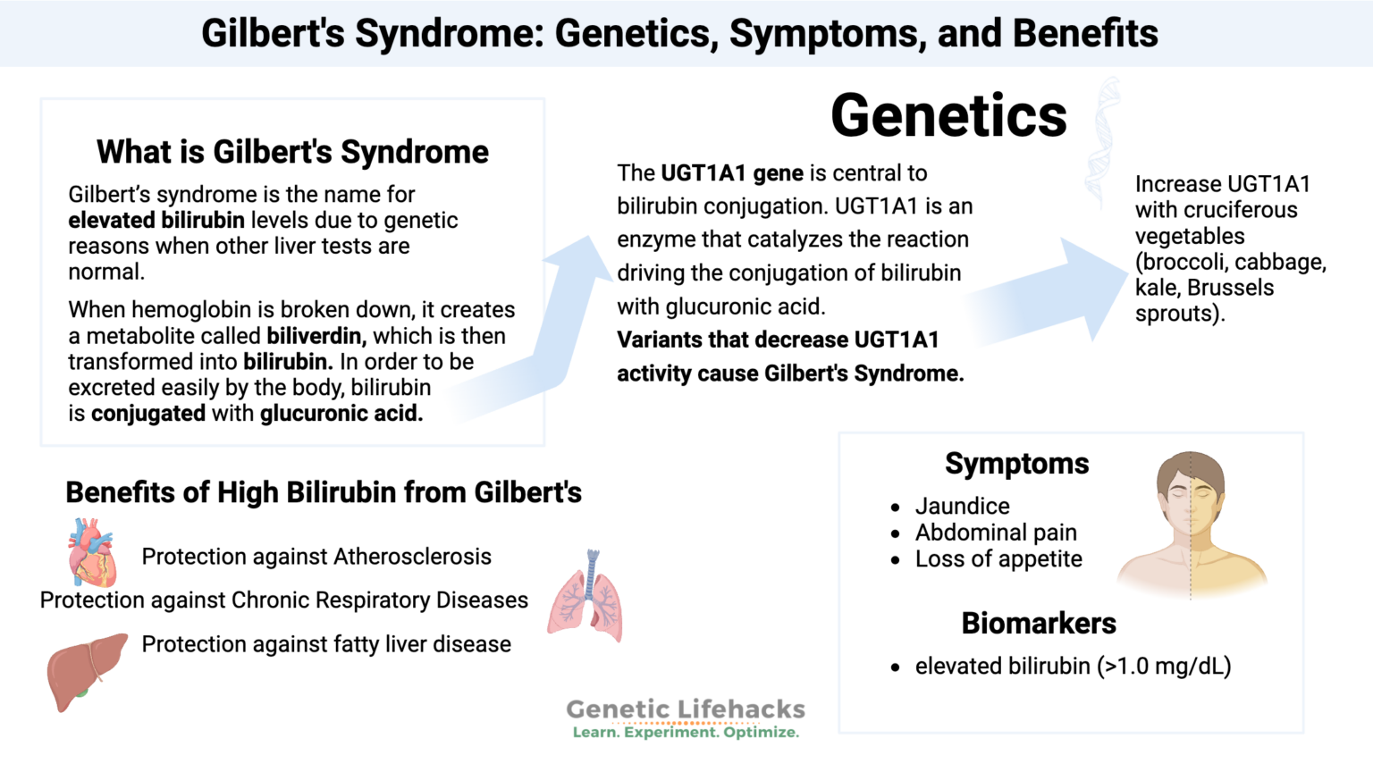 Gilbert's Syndrome: A Genetic Disorder Causing High Bilirubin