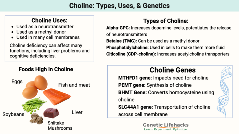 Which Type of Choline Works Best with Your Genes?