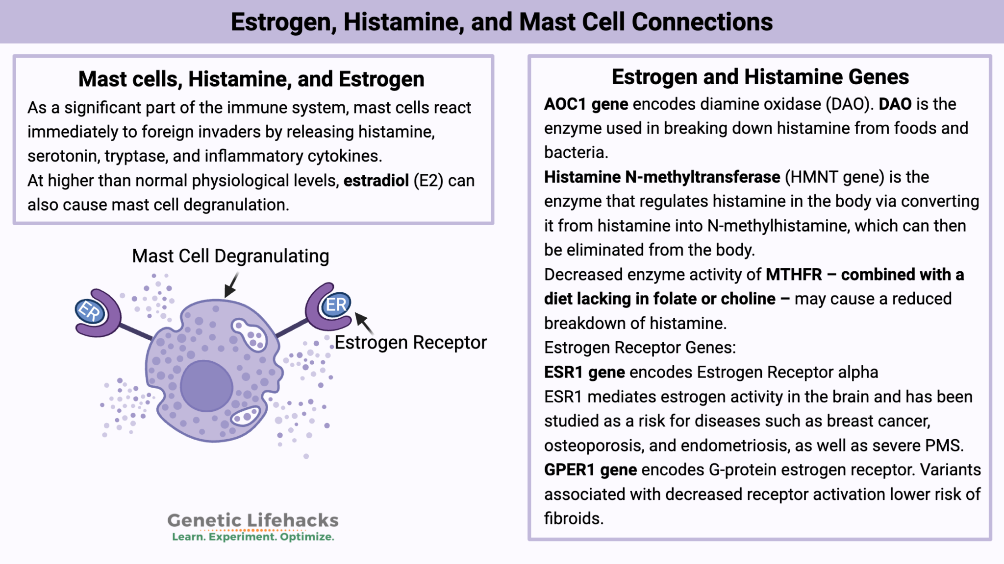 Estrogen, Histamine, and Mast Cell Connections