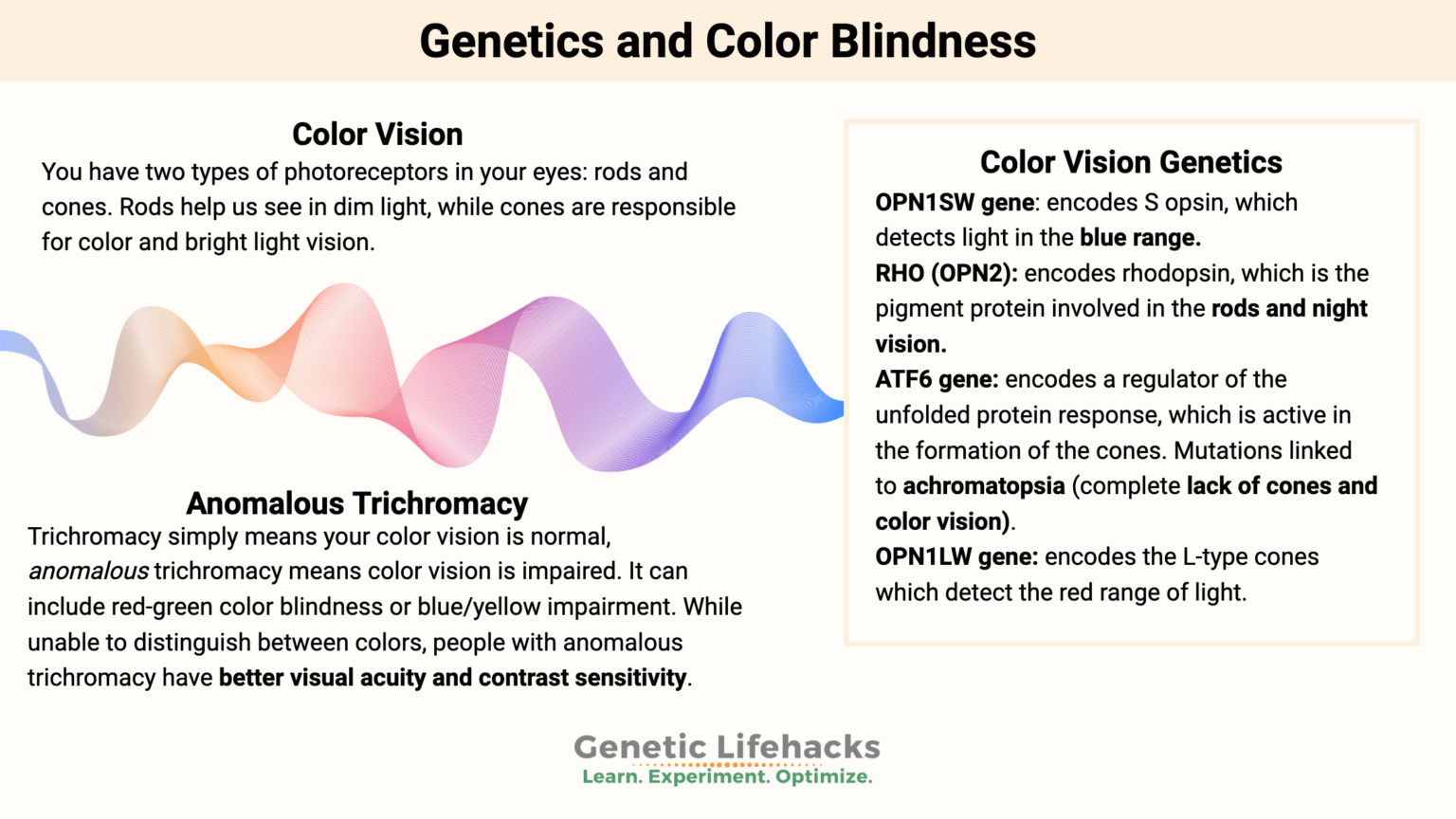 Genetics and Color Blindness