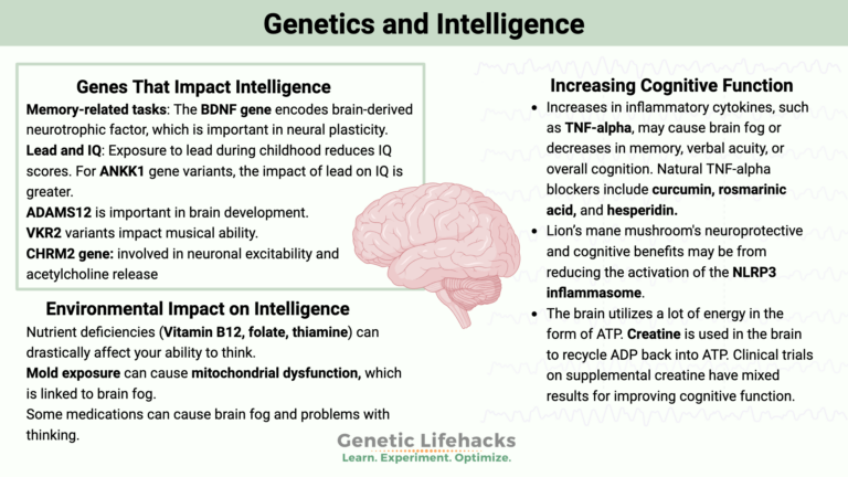 Genetics and Intelligence: IQ-Influencing Genes and Paths to Optimization