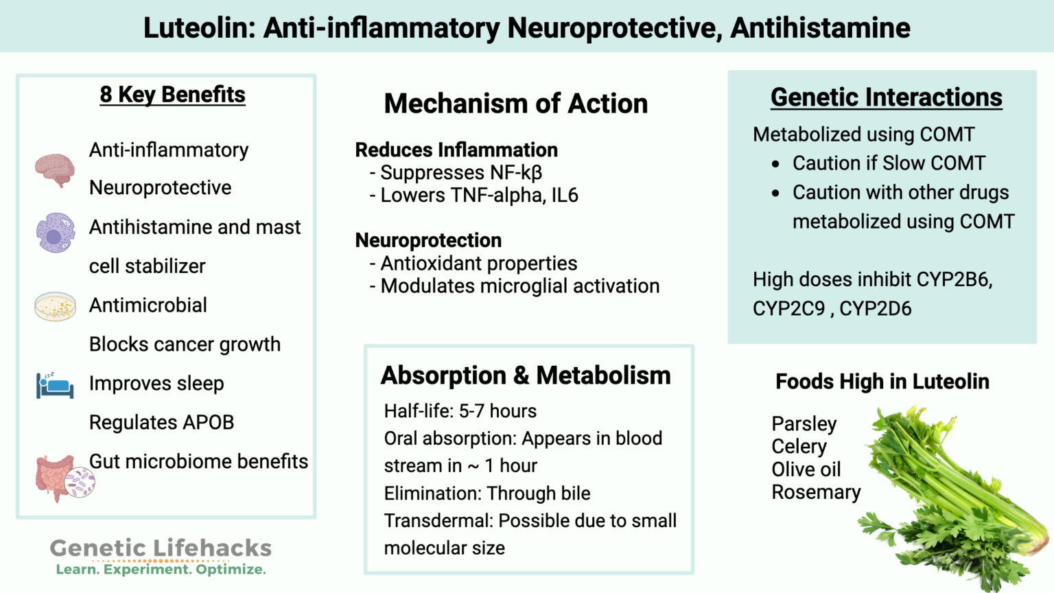 Luteolin: Antihistamine, Memory, and Brain Fog
