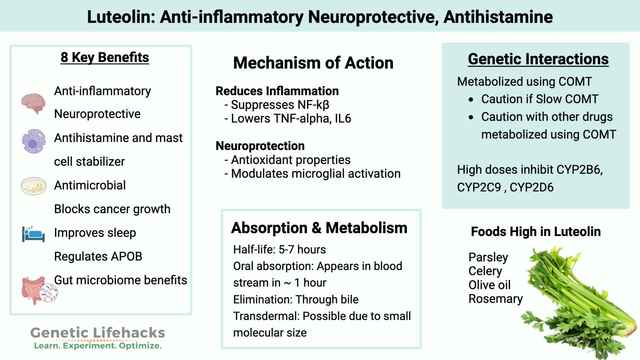 Luteolin: Antihistamine, Memory, and Brain Fog