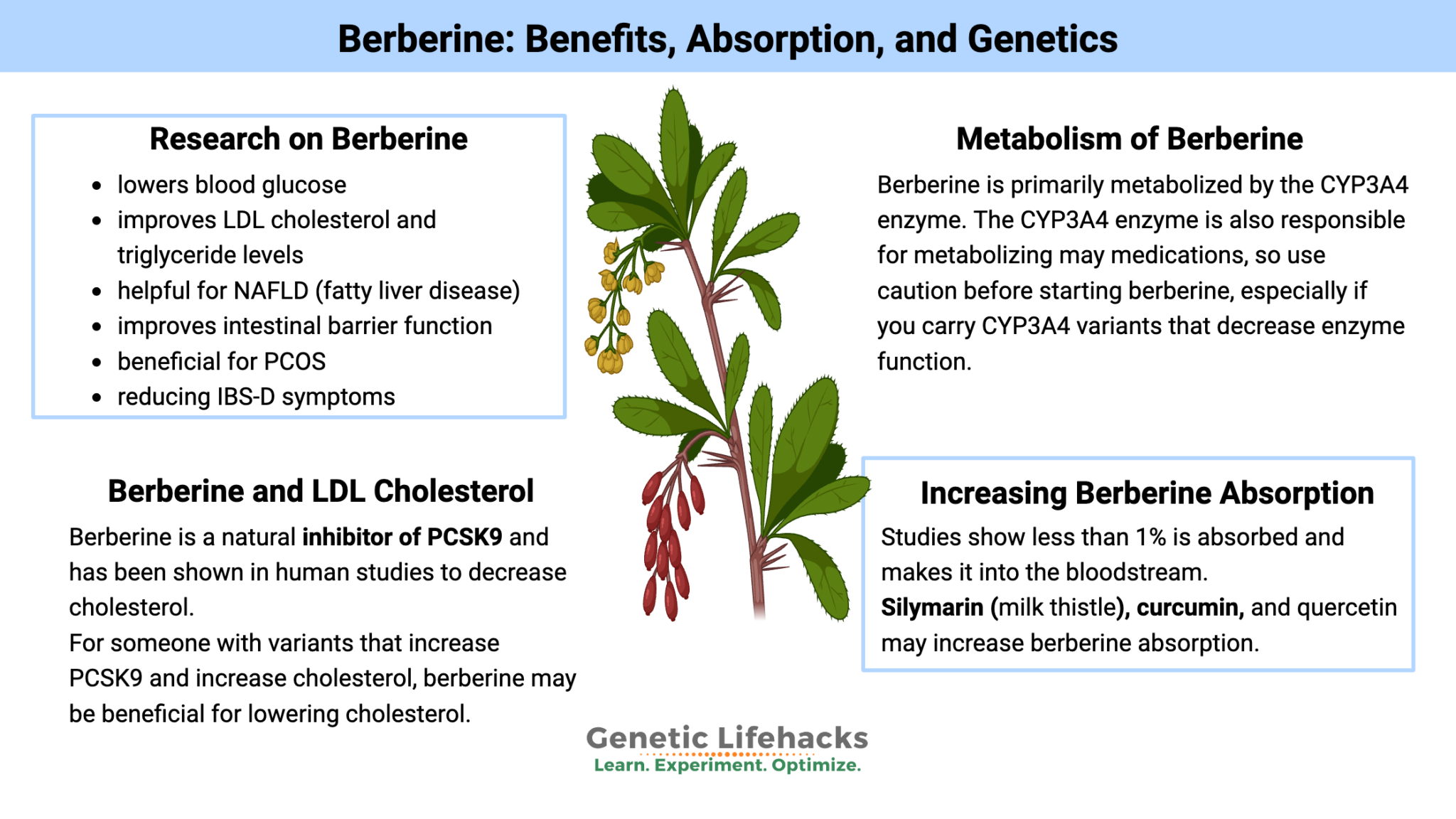 Supplements with Genetic Connections