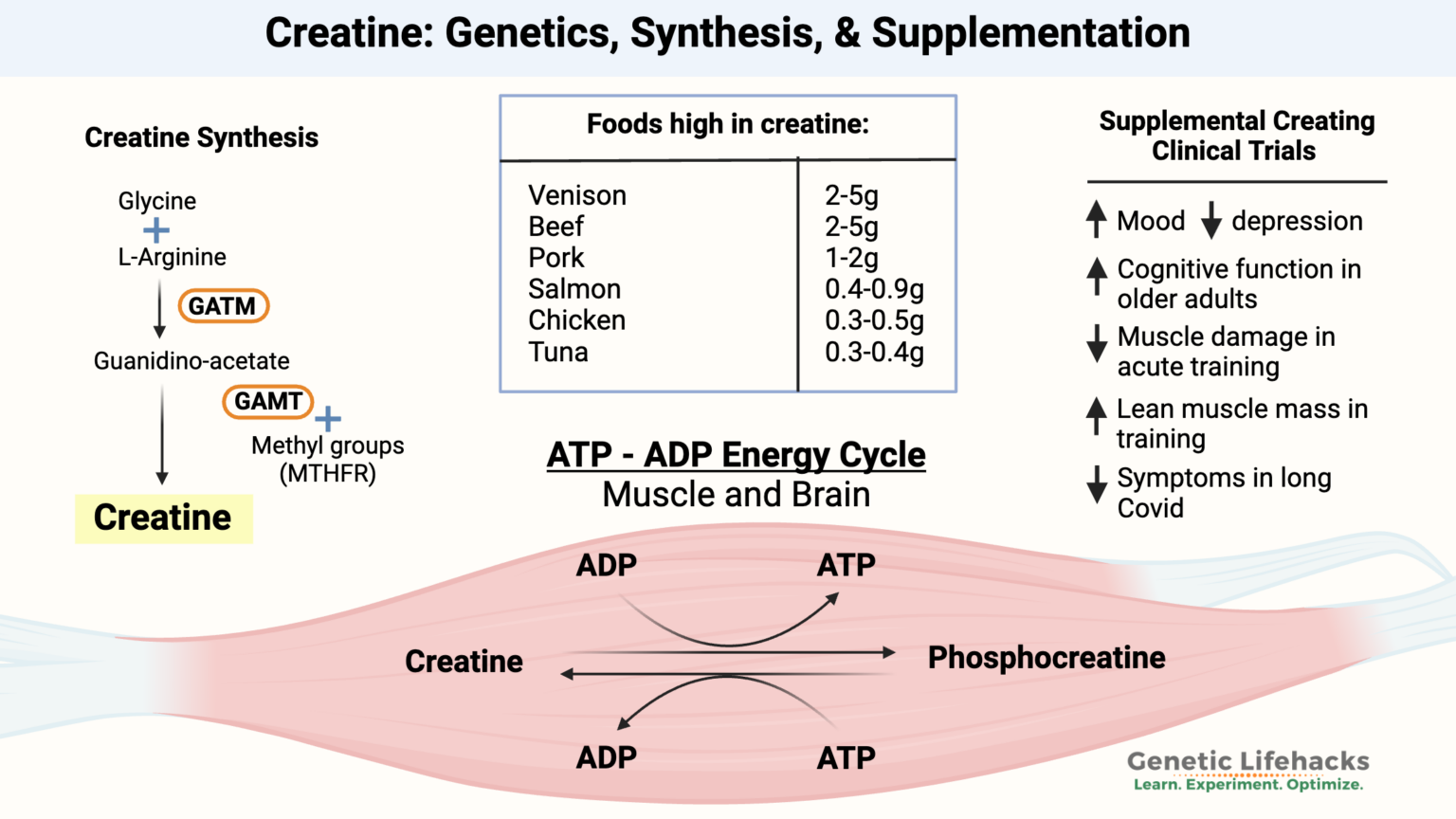 Supplements with Genetic Connections