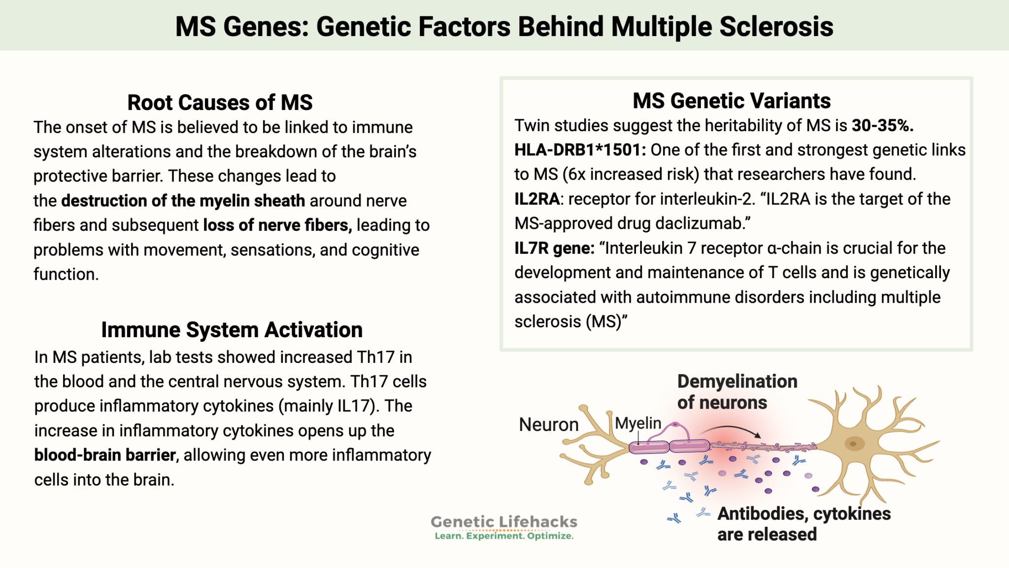 Multiple Sclerosis: Genetic Factors and Susceptibility to MS