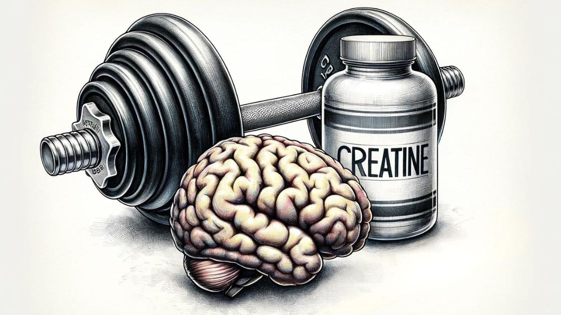 Creatine: Boosting Muscles and Increasing Brain Power