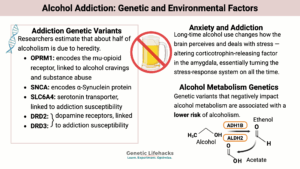 Alcohol Addiction: Exploring the Genetic and Environmental Factors