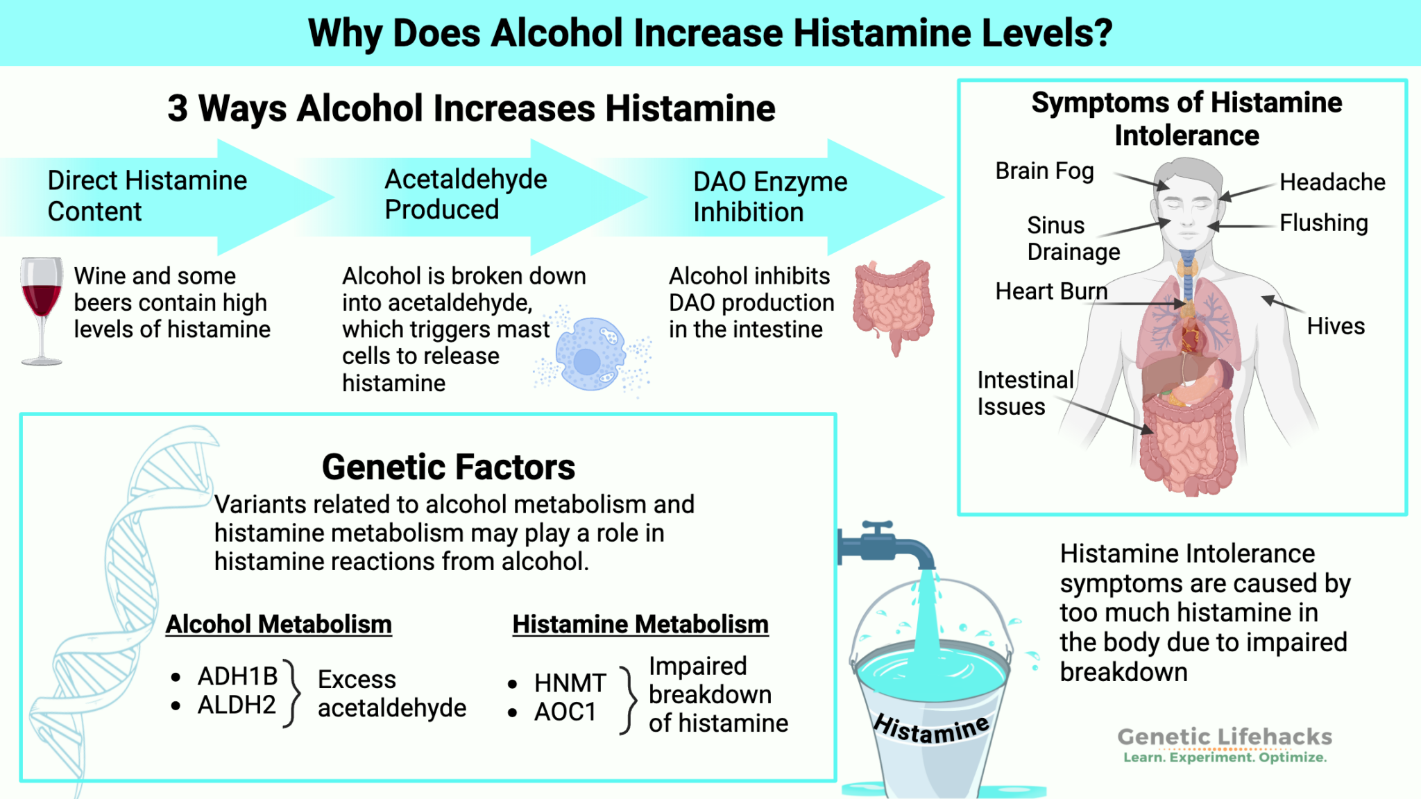Alcohol & Histamine Intolerance: Understanding the Connection