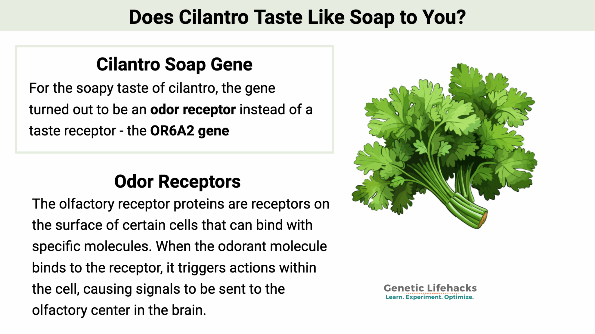Does Cilantro Taste like Soap to You?