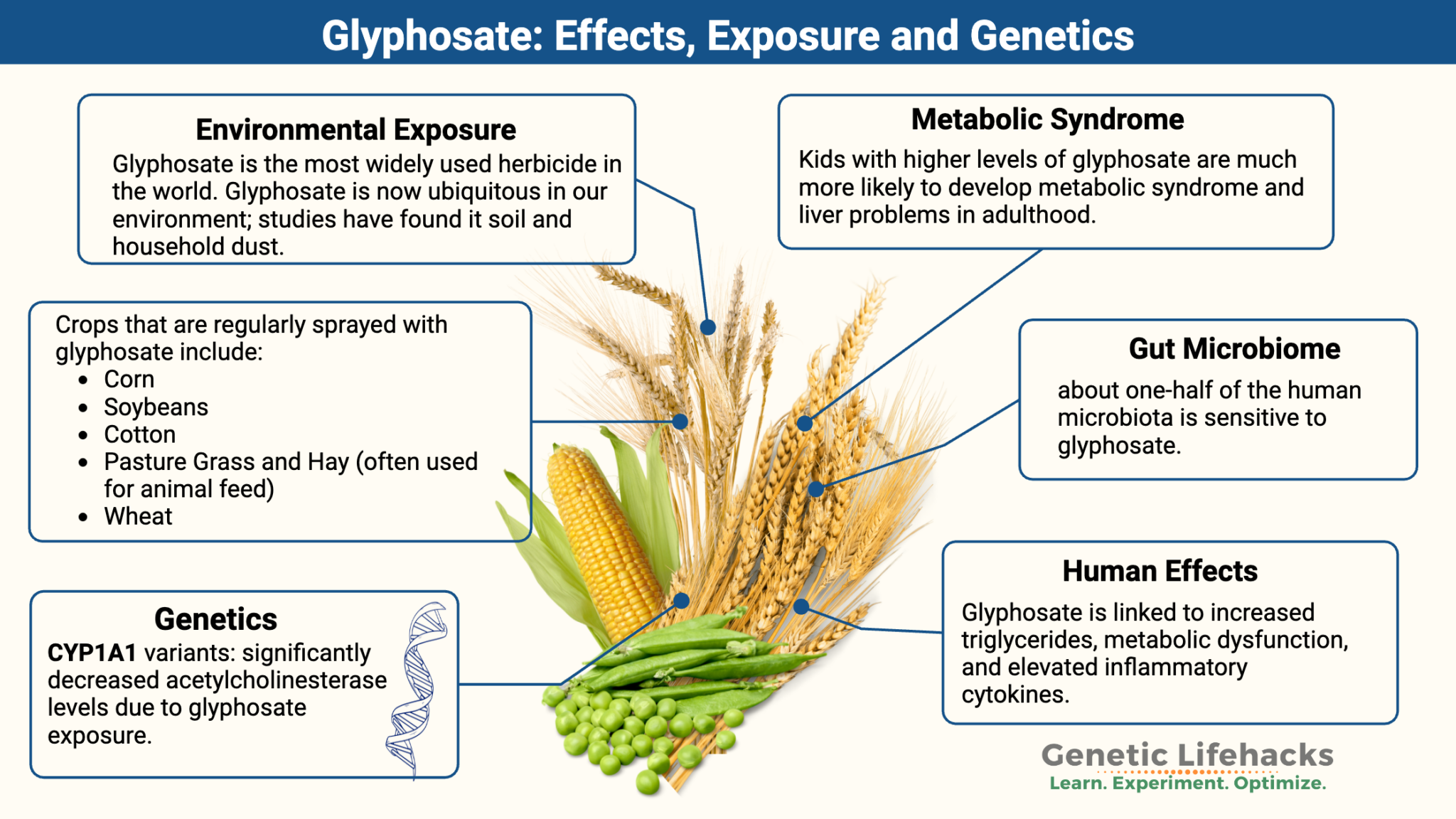 Genetic Lifehacks: Understand your genes.