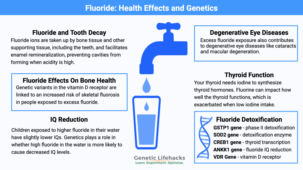 Fluoride: Understanding Its Effects on Health