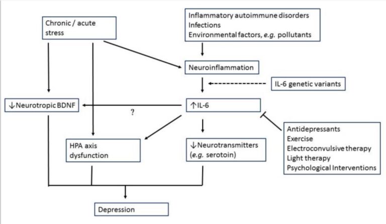 Is Inflammation Causing Your Depression and Anxiety? The Science Behind ...