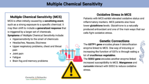 Multiple Chemical Sensitivity (MCS): Genetics, Causes, and Solutions