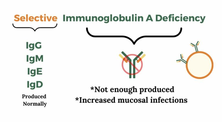 Low IgA and Selective IgA Deficiency Low IgA and Selective IgA Deficiency