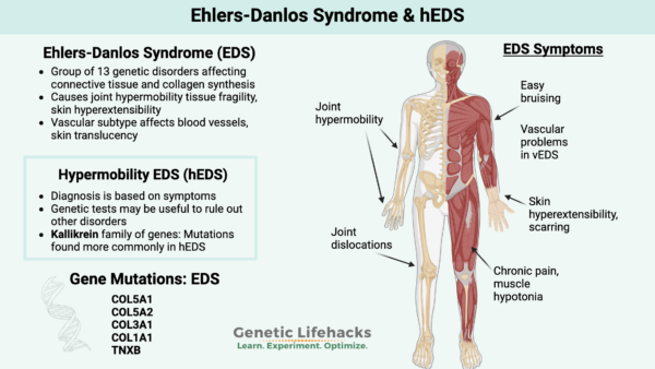 Ehlers Danlos Syndrome: Genes, Types, and Treatments