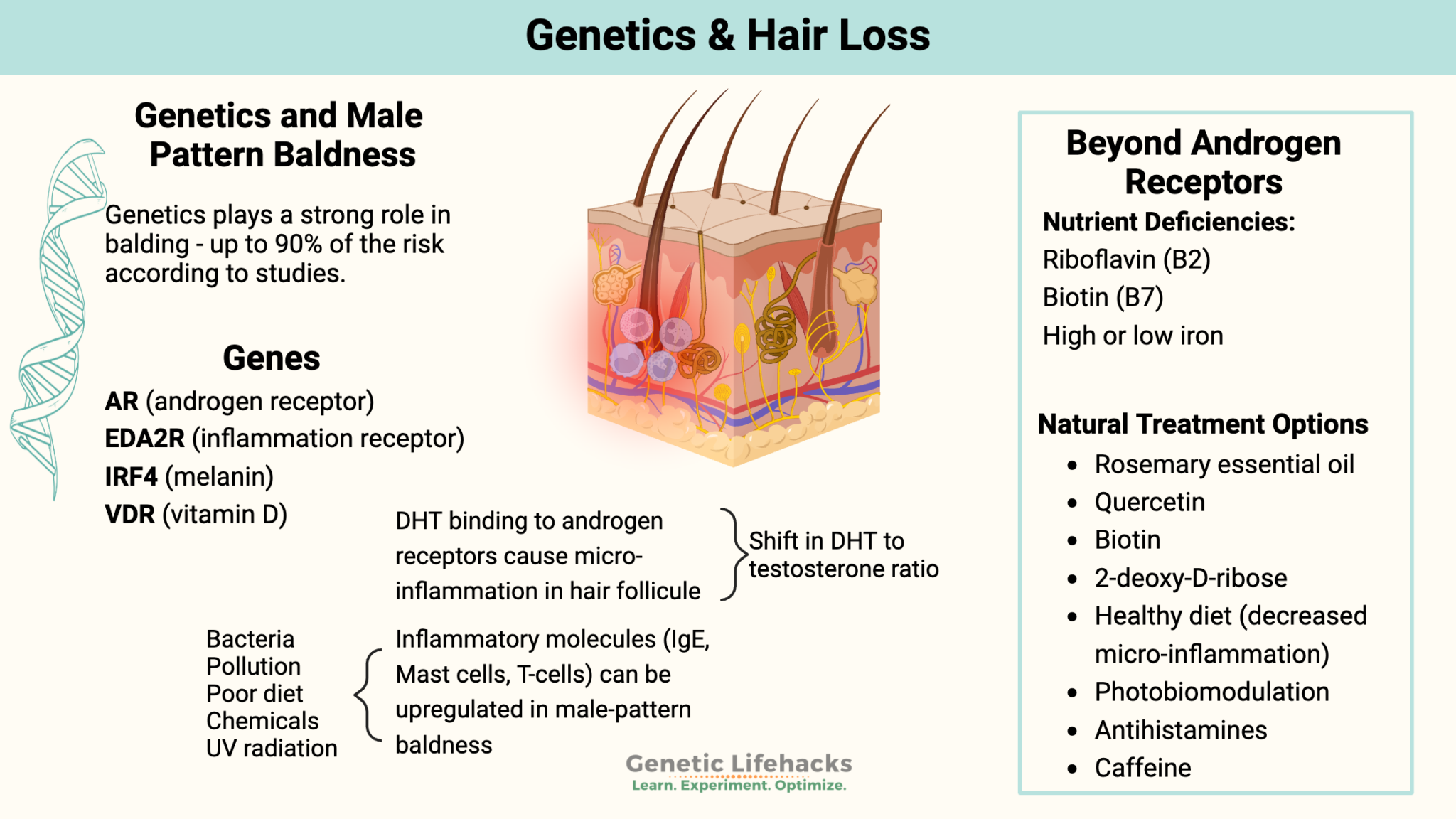 Will you go bald? Genetics and hair loss